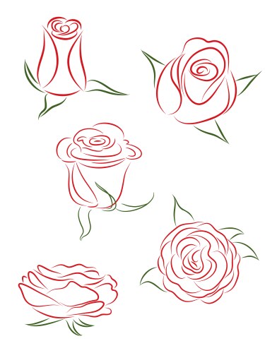 Blooming roses Royalty Free Vector Image - VectorStock