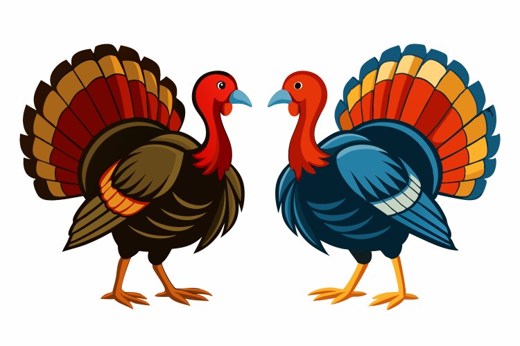 2 drawings wild turkey h Royalty Free Vector Image