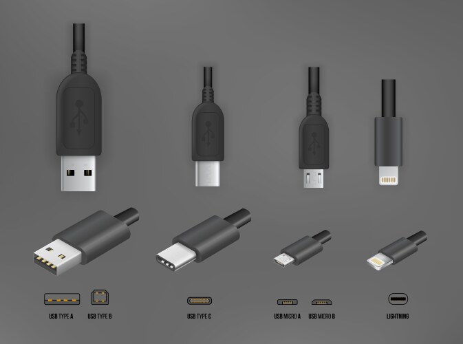 Usb type c Royalty Free Vector Image - VectorStock
