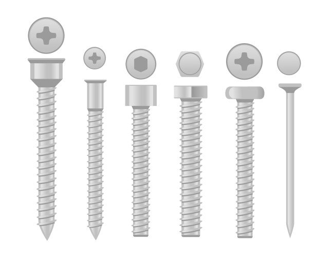 Collection of different types screw isolated Vector Image