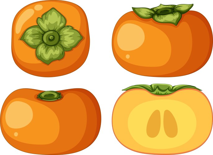 Persimmon fruit cartoon with many expressions Vector Image