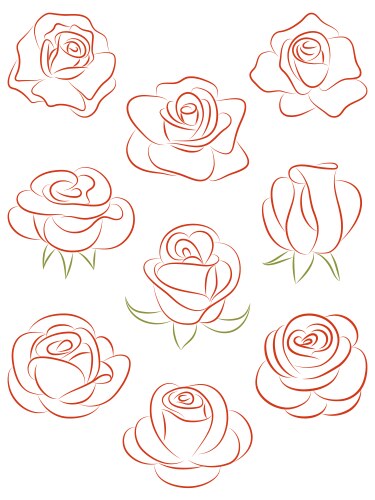 Set of roses Royalty Free Vector Image - VectorStock