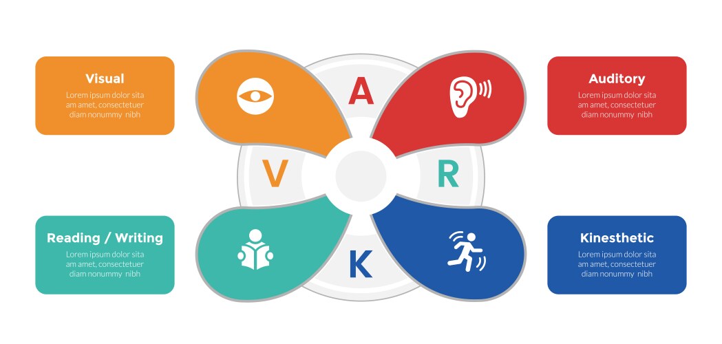 Vark learning styles infographics template Vector Image