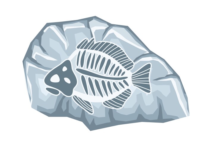 Underground fish fossil Royalty Free Vector Image