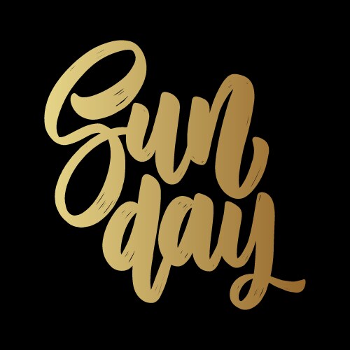 Lettering calligraphic poster with phrase Vector Image