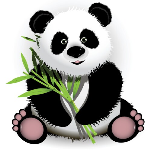 Panda Paw Vector Images (über 1,700)