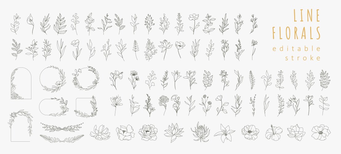Boho Outline Floral Vector Images (over 11,000)