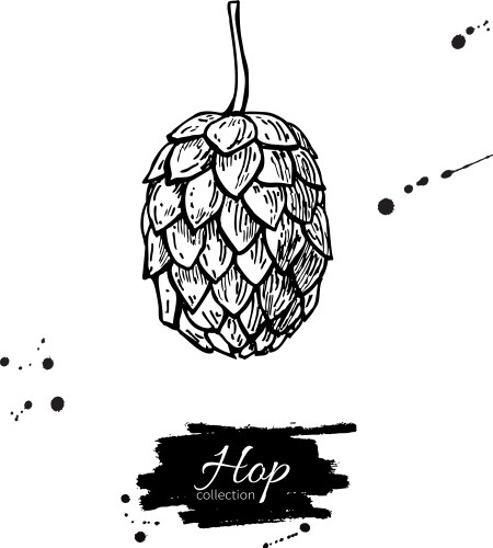 Green hand drawn cartoon hop design element Vector Image