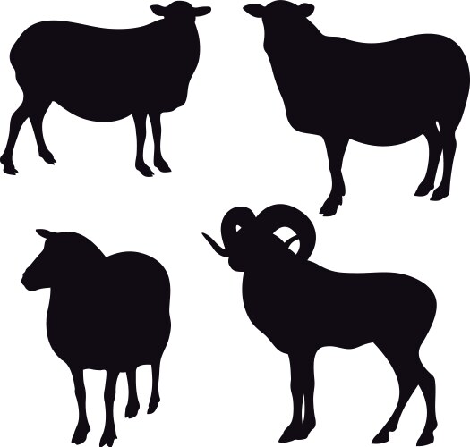 Sheep Vector Images (over 56,000)