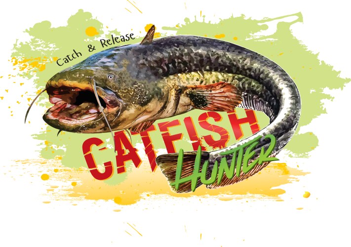 Catfish Vector Images (over 3,300)