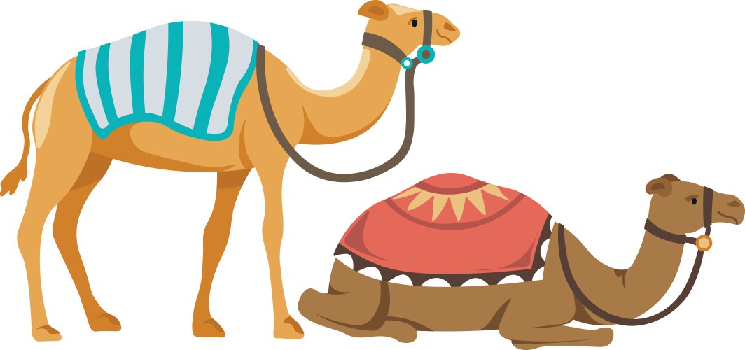Colorful camel Royalty Free Vector Image - VectorStock