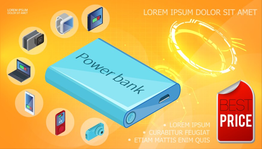 Simple power bank Royalty Free Vector Image - VectorStock