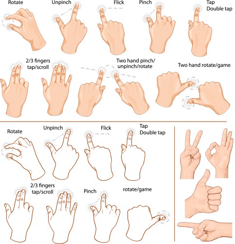 Finger count hand showing numbers from one to ten Vector Image