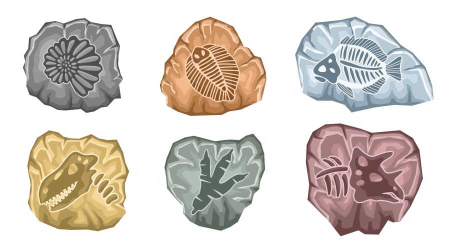 Archeologic fossil dig imprints set ammonite Vector Image