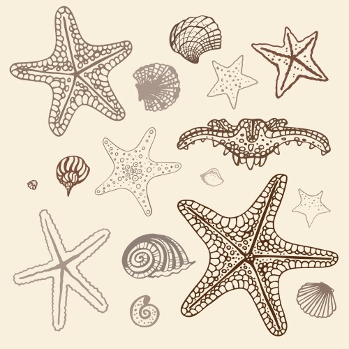 Starfish Vector Images (over 46,000)