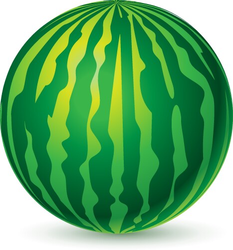 Watermelon fruit cartoon isolated Royalty Free Vector Image