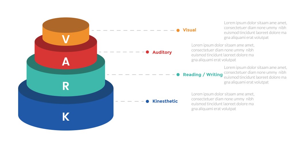 Vark learning styles infographics template Vector Image