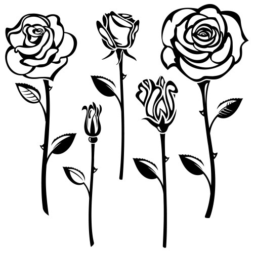Roses Vector Images (over 290,000)