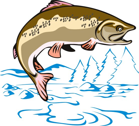 Trout Vector Images (over 13,000)