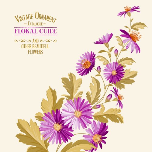 Chrysanthemum Vector Images (over 9,400)