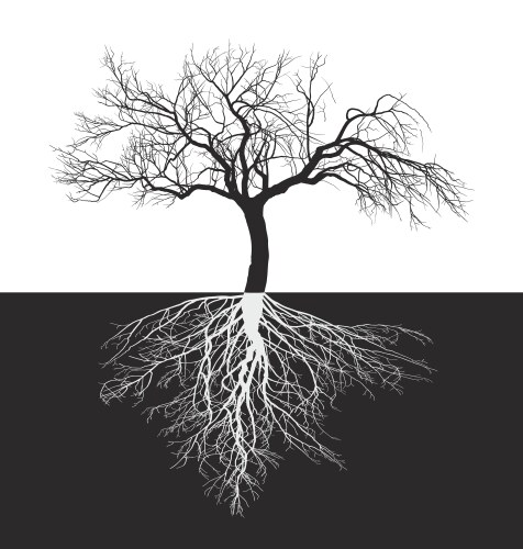 Apple Black and White Vector Images (over 75,000)