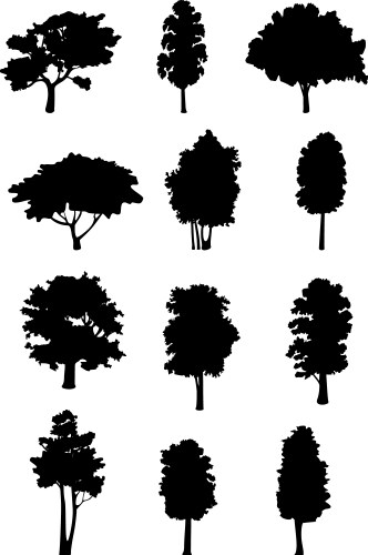 Tree Outline Vector Images (over 180,000)
