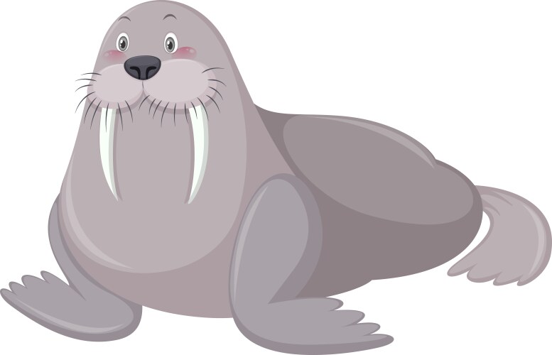 Walrus Clipart Vector Images (over 410)