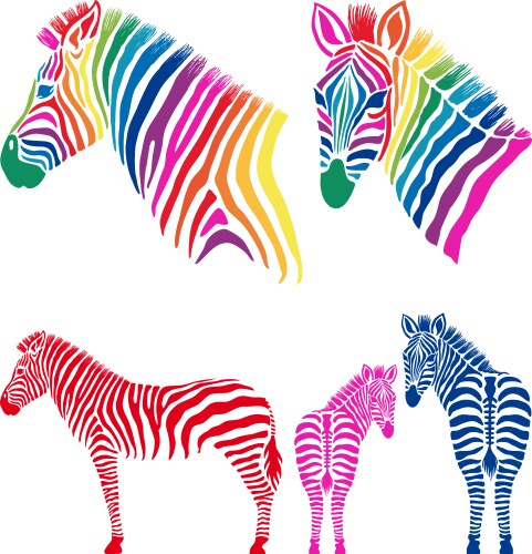 Colored striped zebra Royalty Free Vector Image