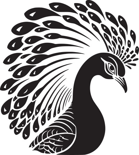 Peacock Vector Images (over 17,000)