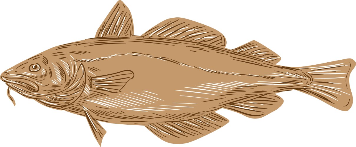 Fish Line Drawing Vector Images (over 30,000)