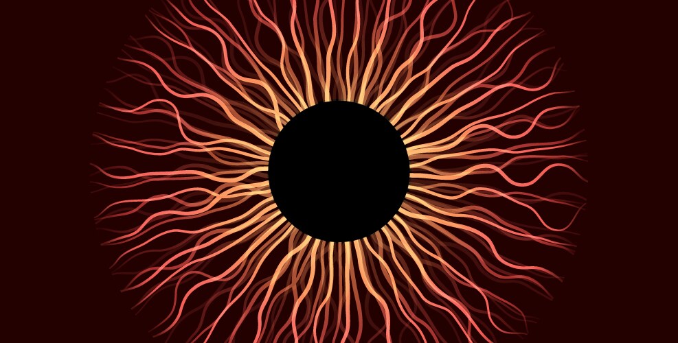 Human iris poster Royalty Free Vector Image - VectorStock