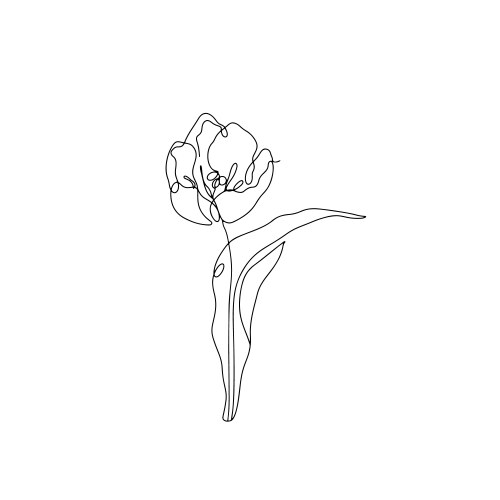 Single Tulip Vector Images (over 1,400)