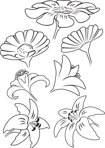 Abstract flower outline Royalty Free Vector Image