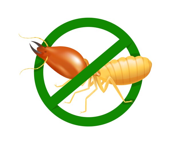 Termite in prohibited red circle sign isolated Vector Image