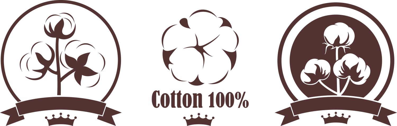 Cotton Royalty Free Vector Image - VectorStock