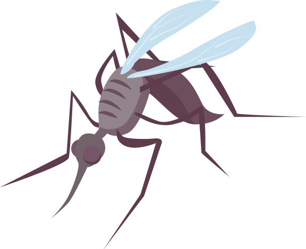 Mosquito Vector Images (over 14,000)