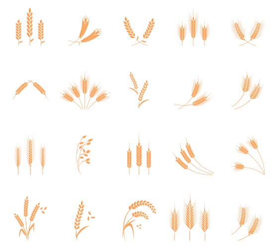 Wheat Vector Images (over 130,000)
