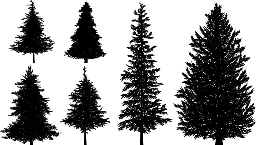Abstract pine trees silhouette Royalty Free Vector Image