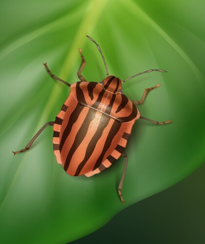 Bug Vector Images (over 130,000)