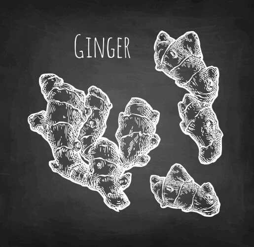 Root Vector Images (over 92,000)