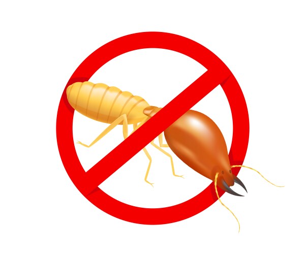 Termite in prohibited red circle sign isolated Vector Image