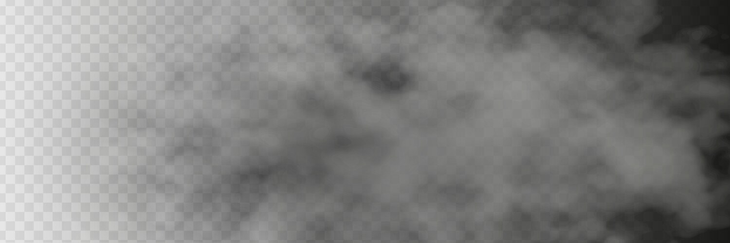 Transparent special effect stands out with fog Vector Image