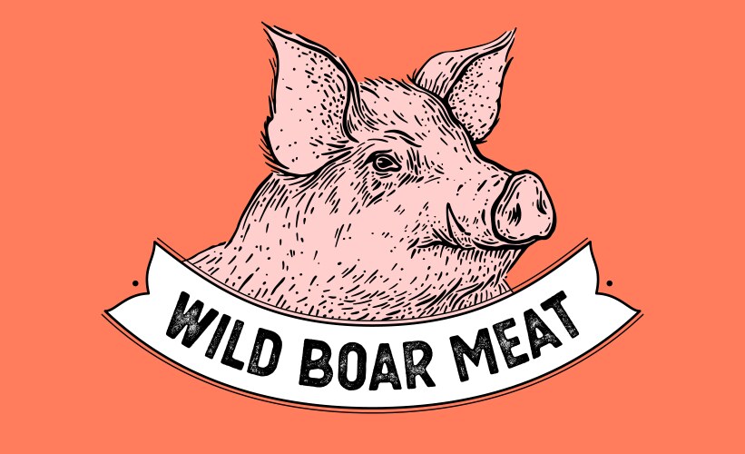 Pig Head Logo Vector Images (over 3,300)