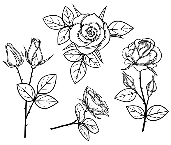 Vintage poppy set Royalty Free Vector Image - VectorStock