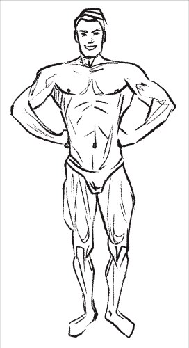 Body builder Royalty Free Vector Image - VectorStock