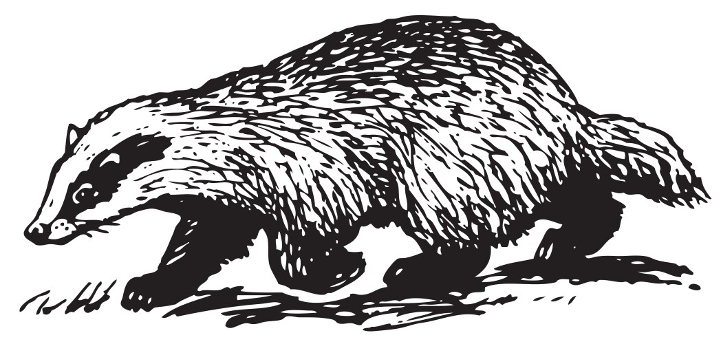 Badger Vector Images (over 3,900)