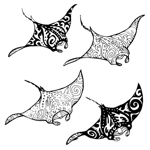 Manta ray tattoo with ethnic elements Royalty Free Vector