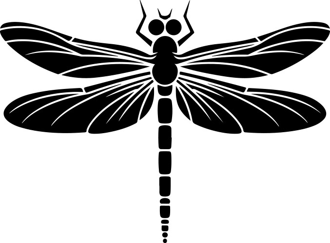 Dragonfly outline Vector Images & Graphics for Commercial Use | VectorStock