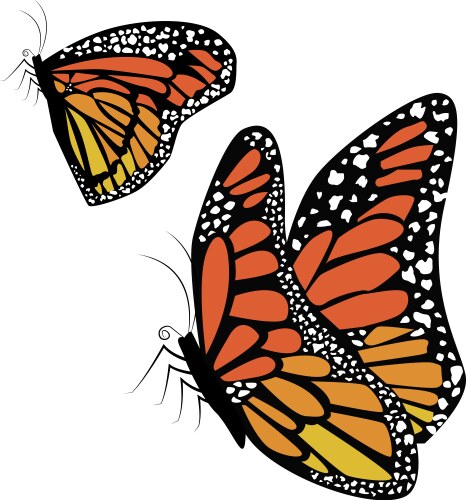 Butterfly Vector Images (over 190,000)