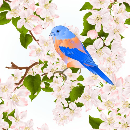 Bluebird Vector Images (over 1,300)